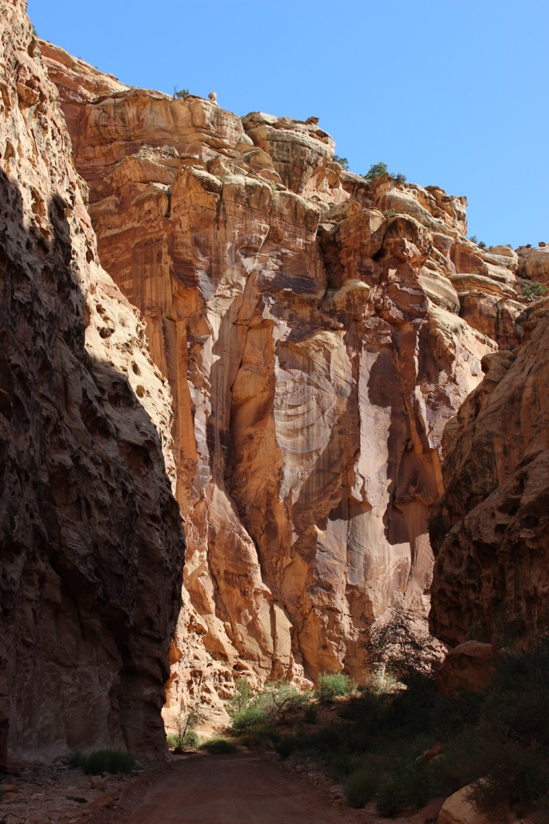 Capital Reef National Park – Michael Dunlap Photography